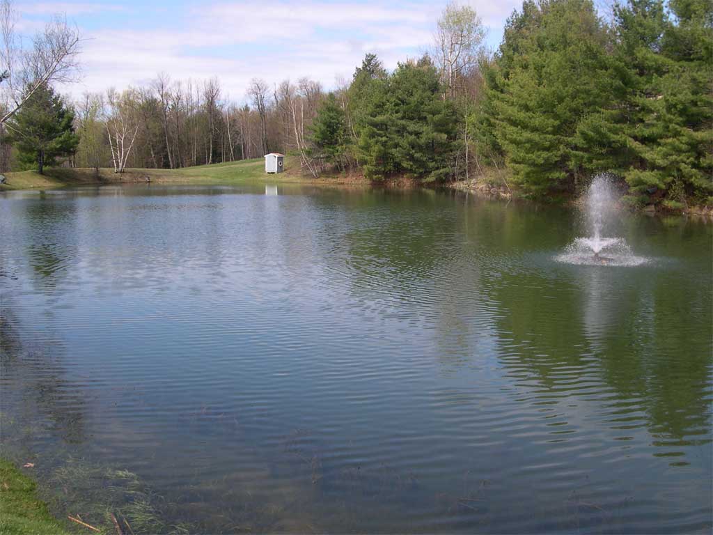 Stocking the Pond at our NH Resort | Steele Hill Resorts